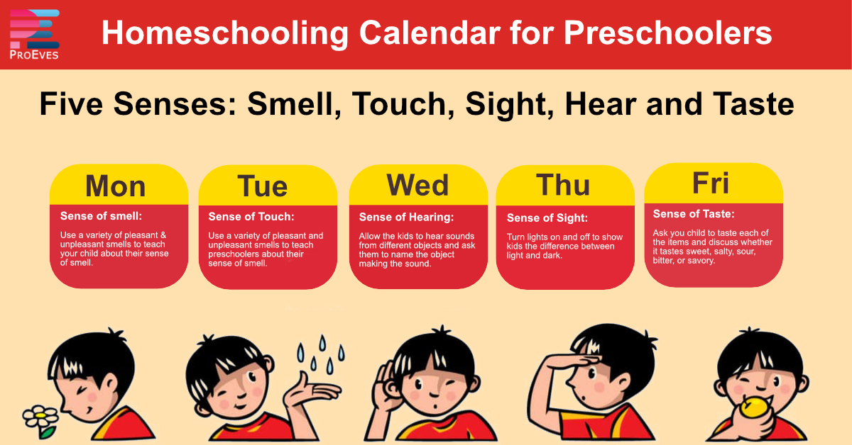5 Best Activities To Teach Five Senses To Toddlers Proeves Learning Lab 5 Best Activities To Teach Five Senses To Toddlers Proeves Learning Lab